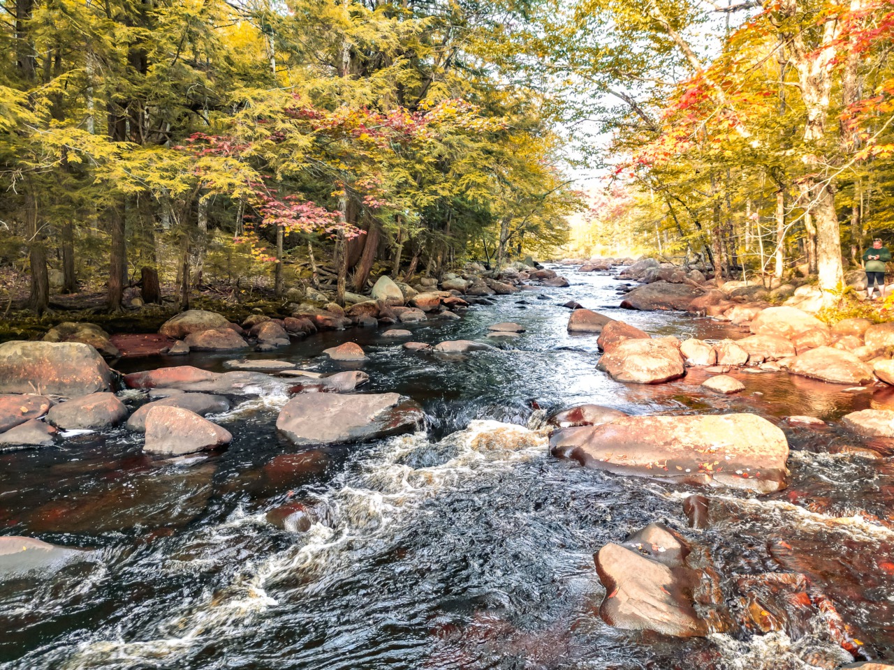 6640-6660 Partridgeville Rd Brantingham, NY 13312 | MLS S1595886