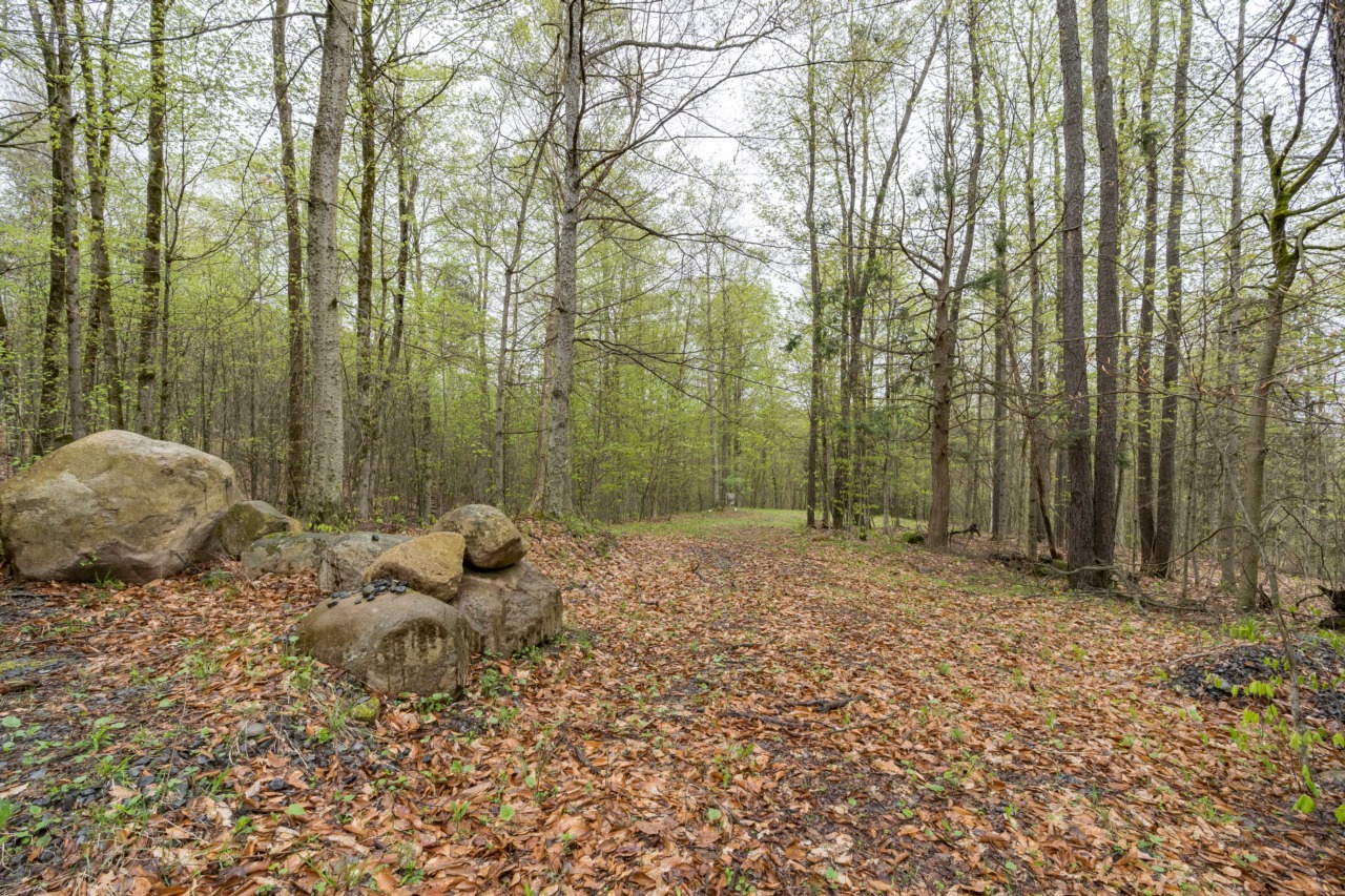 4891 Kirch Hill Rd Greig, NY 13345 | MLS S1609231